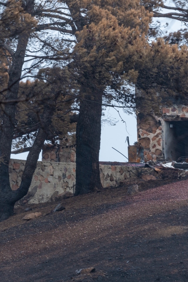 Frank Lloyd Wright’s Arch Oboler Complex Appears Gutted by California ...
