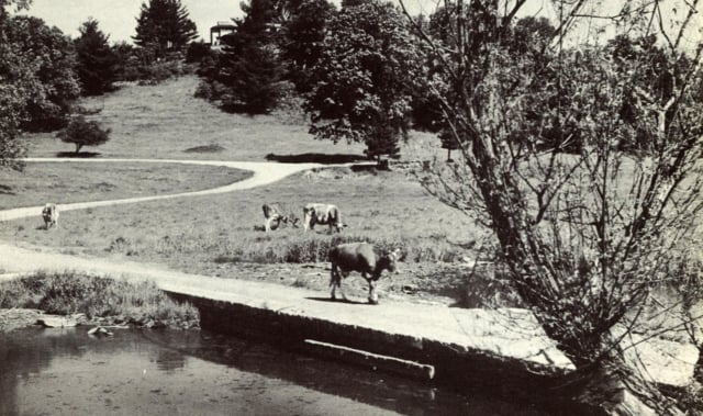 The 5 C's of Arizona at Taliesin West - Frank Lloyd Wright Foundation