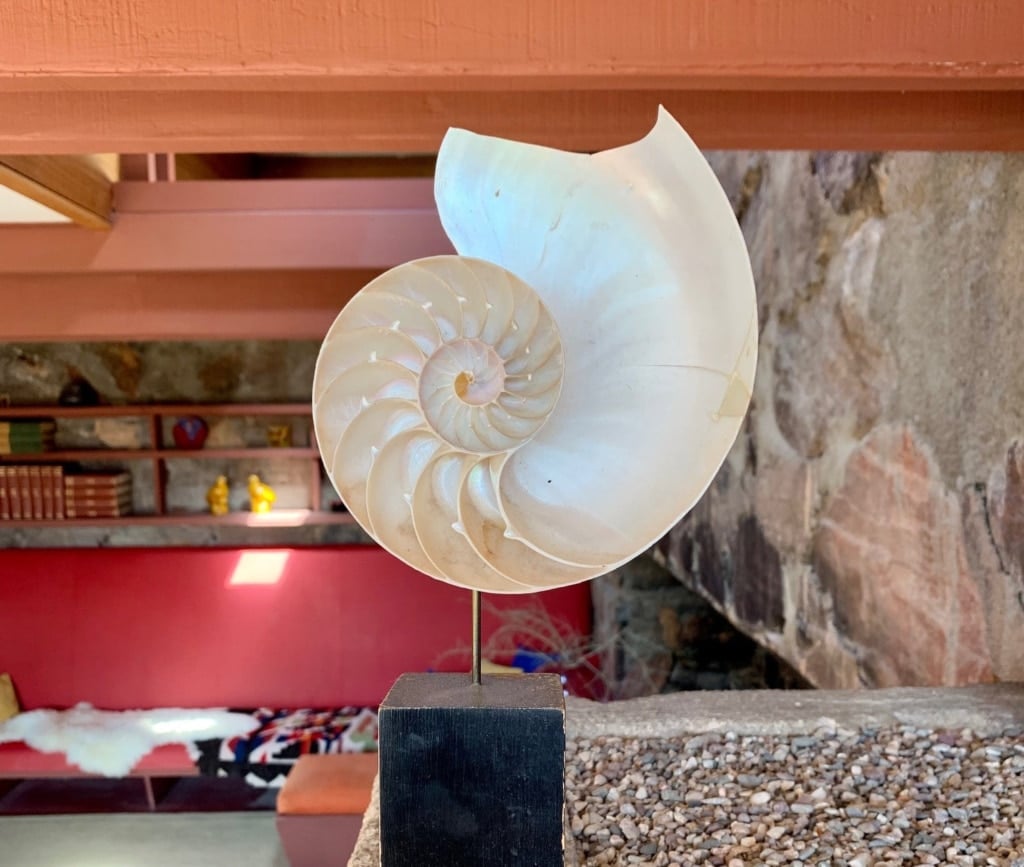 shell - Frank Lloyd Wright Foundation