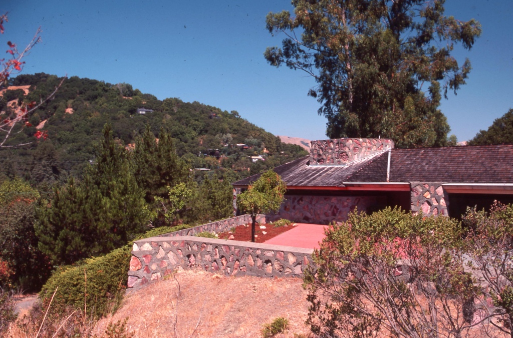 MicrosoftTeams-image (4) - Frank Lloyd Wright Foundation