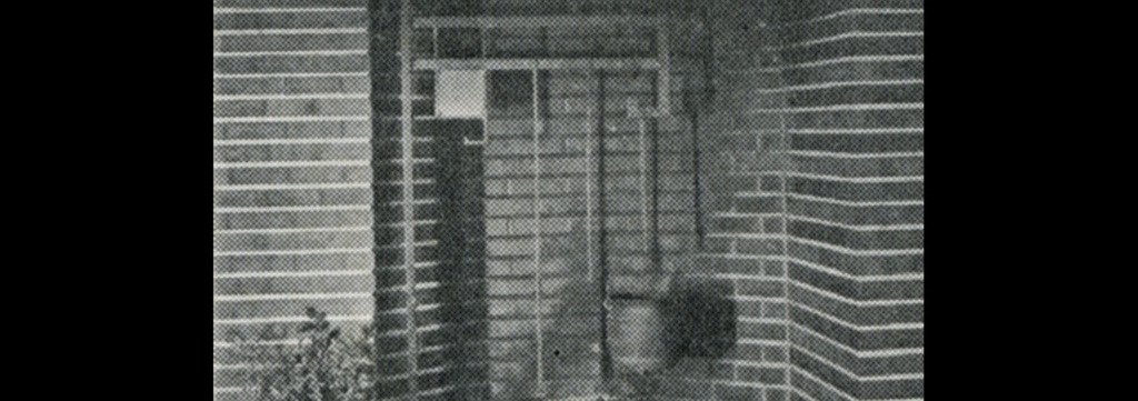 Willey House Stories Part 22: Calling the Kettle Back—Chapter 7 ...